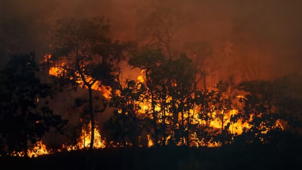 São Paulo tem recorde de queimadas em 14 anos